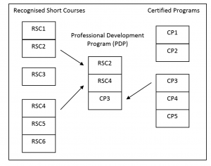 Professional Development Programs (PDP) | CILTA Centre for Professional ...